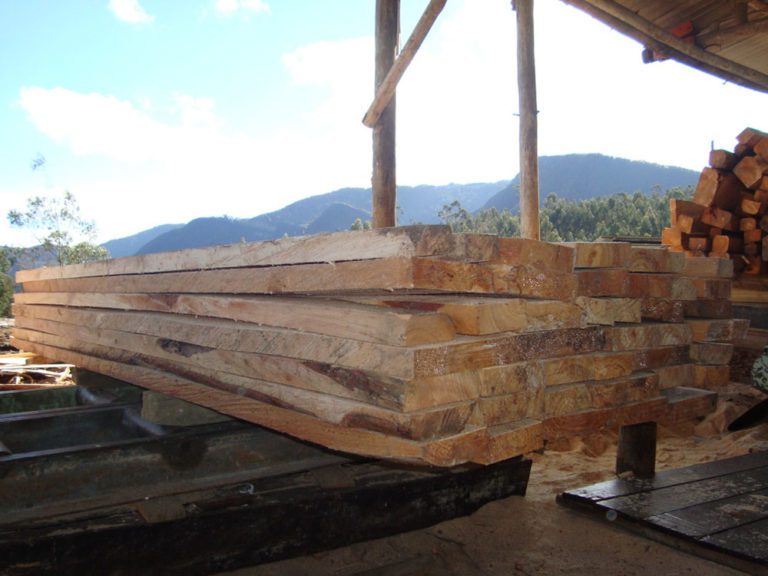 Madera Aserrada Pino y Eucalipto Inmunizado | Maderas Técnicas ...