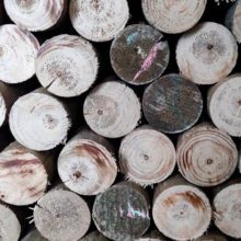 Madera Rolliza Pino Inmunizado | Maderas Técnicas Inmunizadas S.A.S.