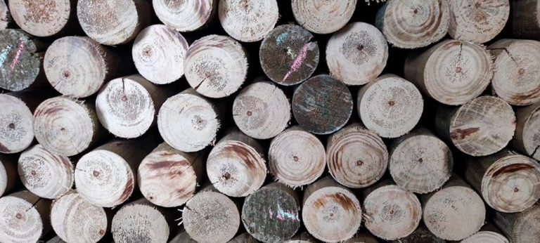 Madera Rolliza Pino Inmunizado | Maderas Técnicas Inmunizadas S.A.S.