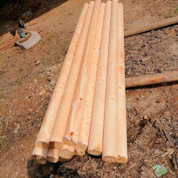 Madera Rolliza Pino Inmunizado | Maderas Técnicas Inmunizadas S.A.S.