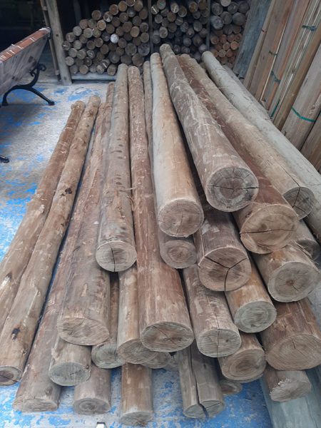 Madera Rolliza Pino Inmunizado | Maderas Técnicas Inmunizadas S.A.S.