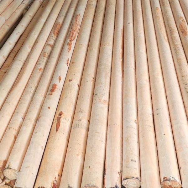 Madera Rolliza Pino Inmunizado | Maderas Técnicas Inmunizadas S.A.S.